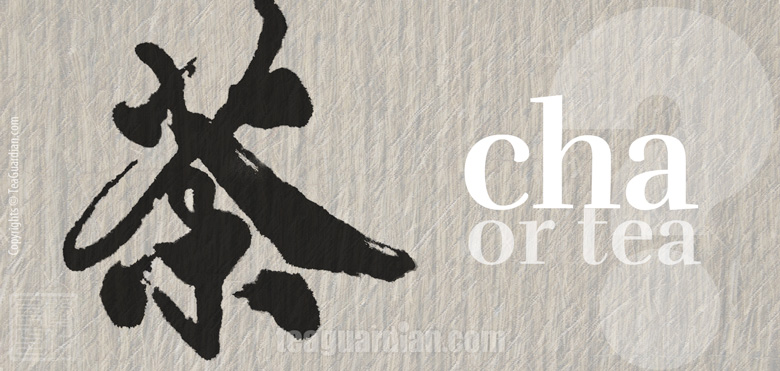 Romanization of Names | Tea Guardian