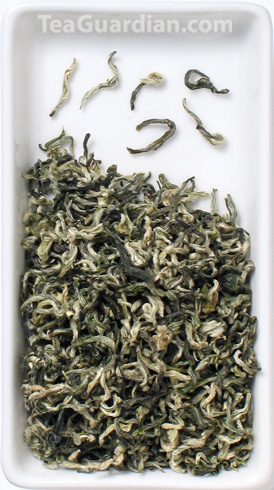 Mengding Ganlu, Sichuan’s Finest | Tea Guardian